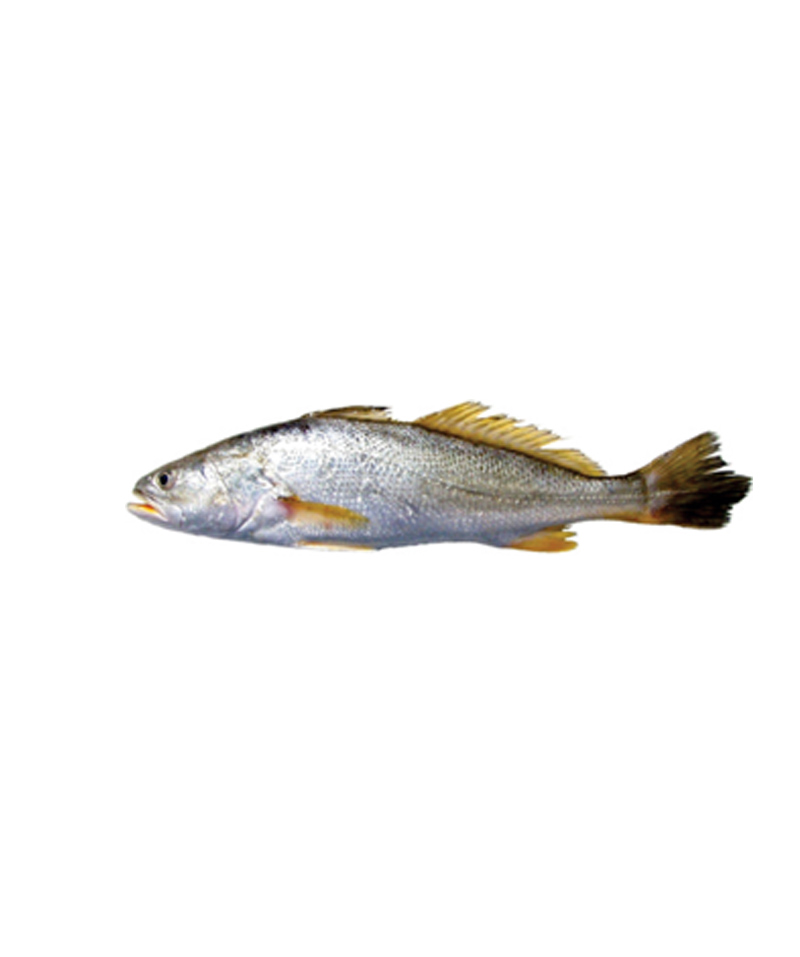 Productos Pesqueros del Ecuador